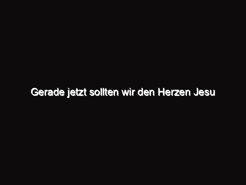 Gerade jetzt sollten wir den Herzen Jesu trösten/Beten für die Kirche - TFP Deutschland