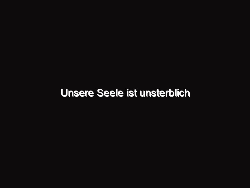 Unsere Seele ist unsterblich - TFP Deutschland